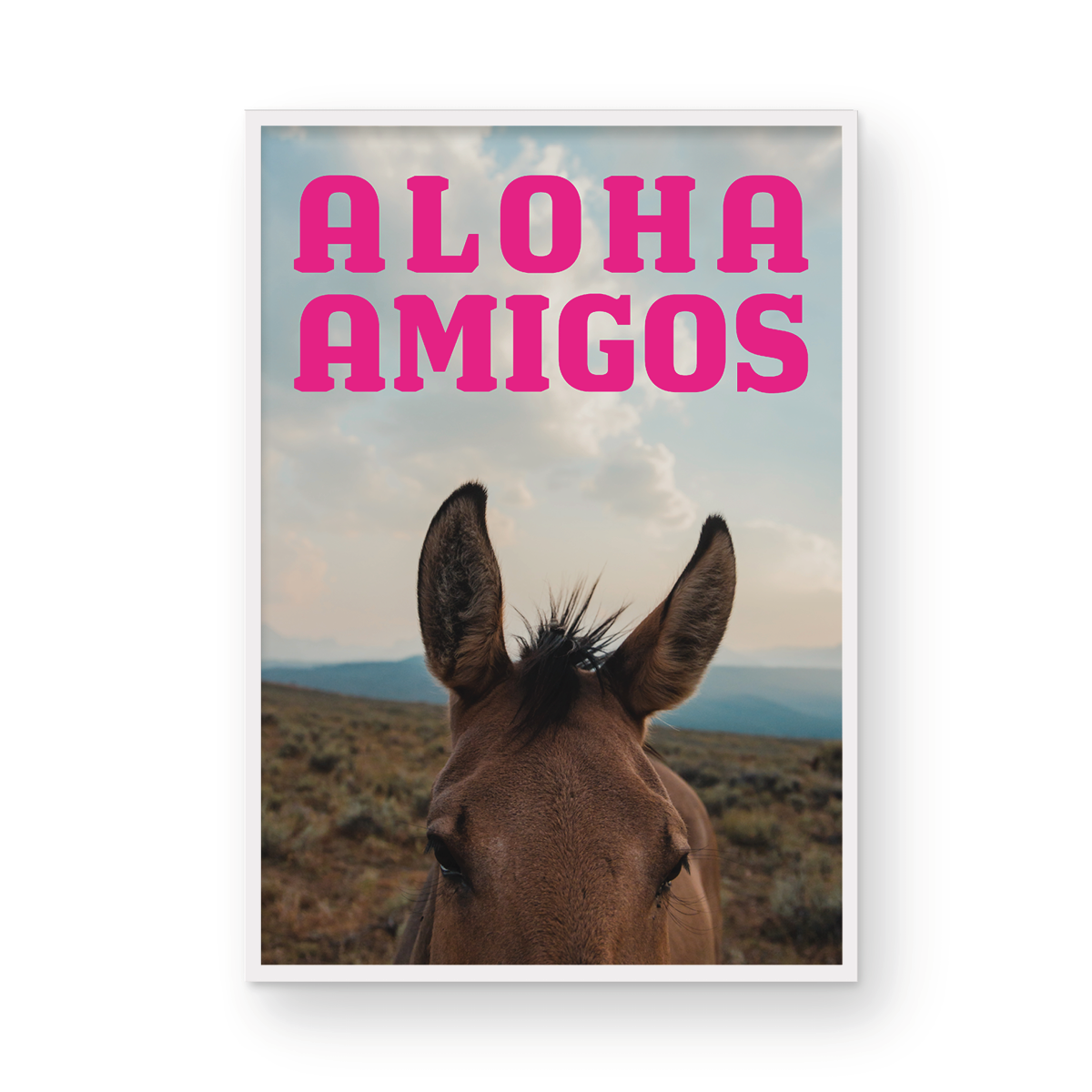 Aloha Amigos – Raili CA Design